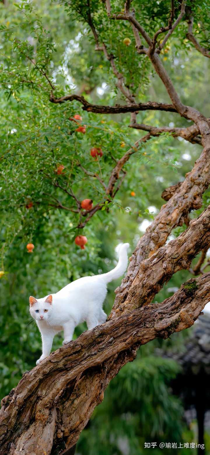 男朋友是NPD吗？ - 知乎