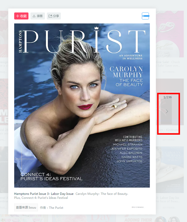 有没有什么好方法下载ISSUU上面的pdf资源！？ - 知乎