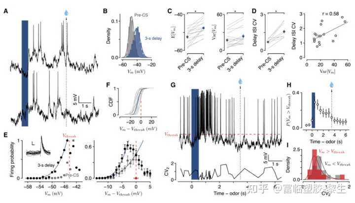 MRL/MPJ小鼠和MRL/MP小鼠及MRL/lpr小鼠的区别有什么区别？ - 知乎