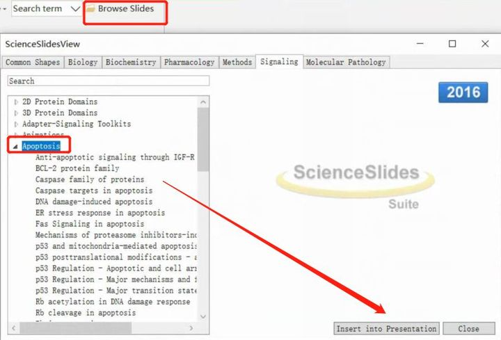 现在很多sci的期刊都需要Graphical Abstract，如何制作？ - 知乎