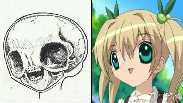 二次元人物的头骨是怎样的？ - 知乎