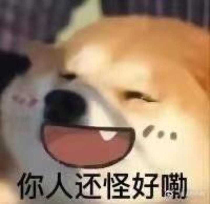 谁可以发我下“你人还怪好的嘞”那个狗狗表情包啊？ - 知乎