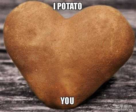 I potato you 是什么意思，你会怎么翻译？ - 知乎