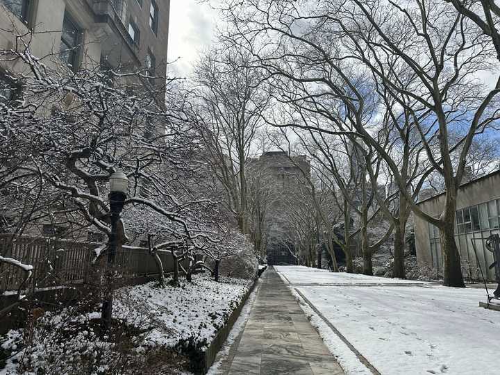 在洛克菲勒大学(The Rockefeller University)就读是一番怎样的体验? - 知乎