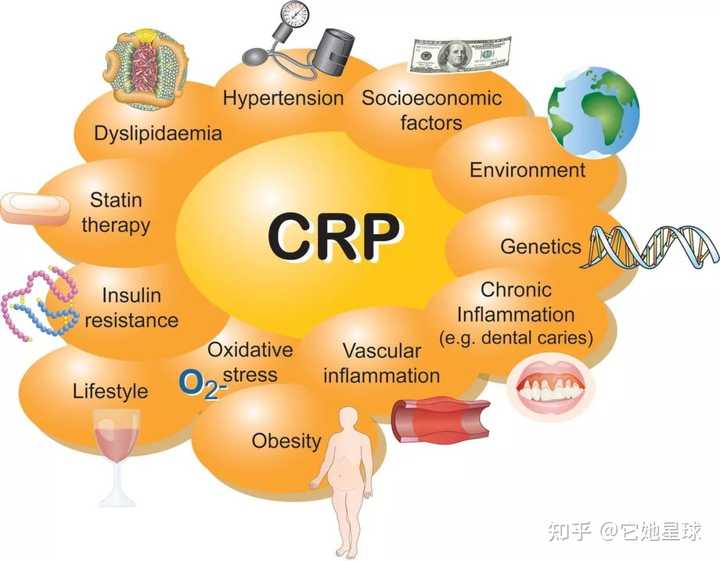 crp crp