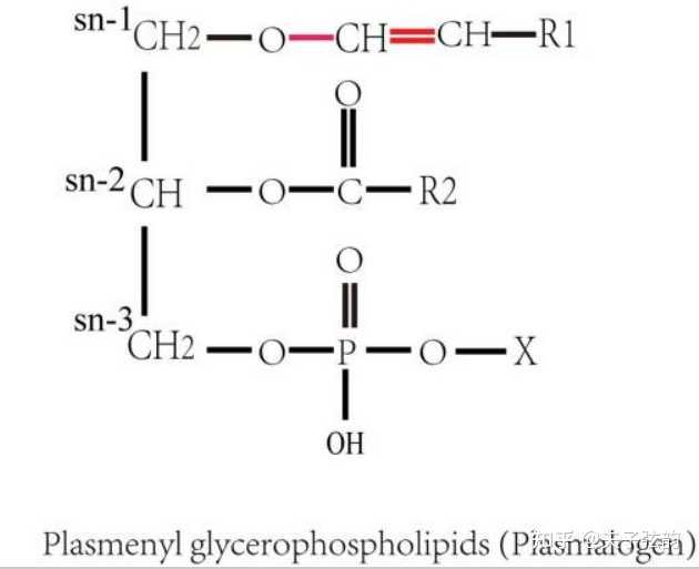 vinyl group 和 vinylic group 有什么区别？ - 知乎