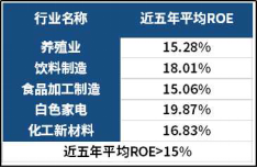 谁能简单通俗的解释一下什么是ROE？ - 知乎