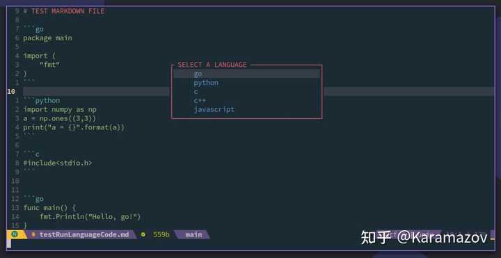 大家开发用的是vim还是neovim？ - 知乎