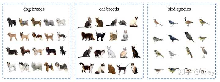 如何理解fine-grained和coarse-grained？ - 知乎