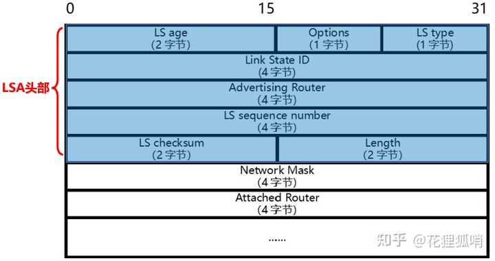 OSPF 中有几种 LSA？各有什么作用？ - 知乎