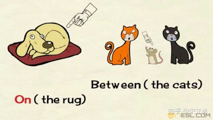 i really和i am really 有什么区别.really前面有没有be动词代表什么意思? - 知乎