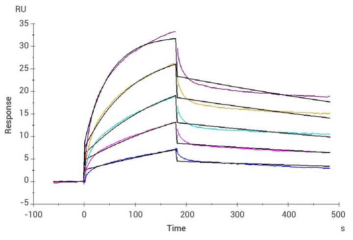 SPR技术原理是什么？ - 知乎