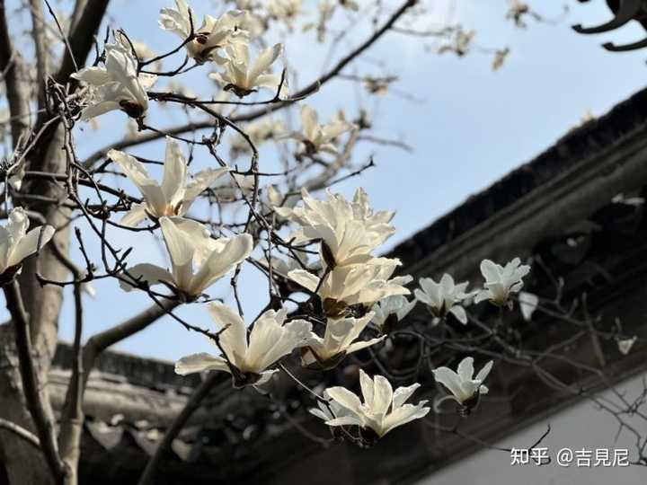 认知功能自评量表 AD8 的使用方法有哪些呢？ - 知乎