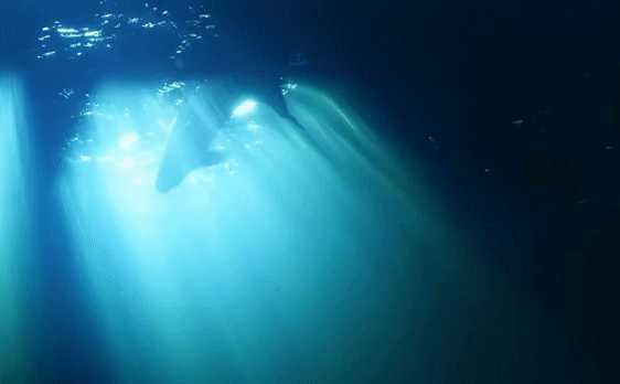 如何评价Tim Pan及其影视飓风自媒体？ - 知乎