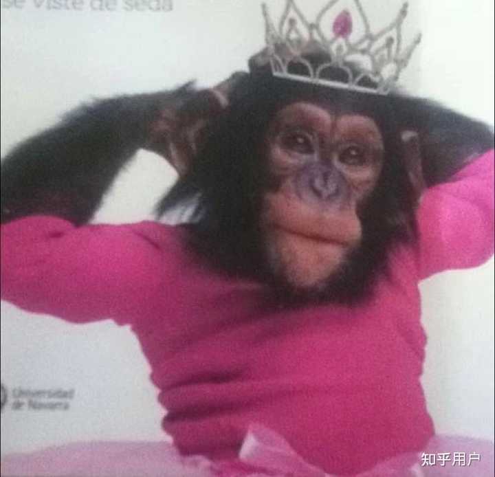 请问大家有没有猴子的表情包？ - 知乎