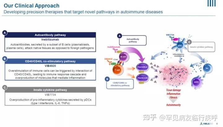 抗CD19伊奈利珠单抗Inebilizumab在华获批将上市视神经脊髓炎谱系疾病(NMOSD)患者将？ - 知乎