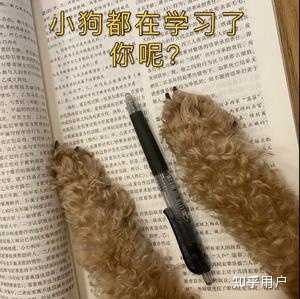 maya如何导入stl文件? - 知乎