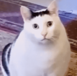 v2-624ee973d13378c5c17d9b27c2cbebd5_720w.gif (306×300)-花瓣网