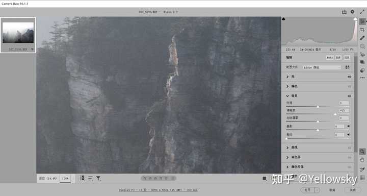 2024年了尼康一代z7和索尼A7R4哪个值得入？ - 知乎