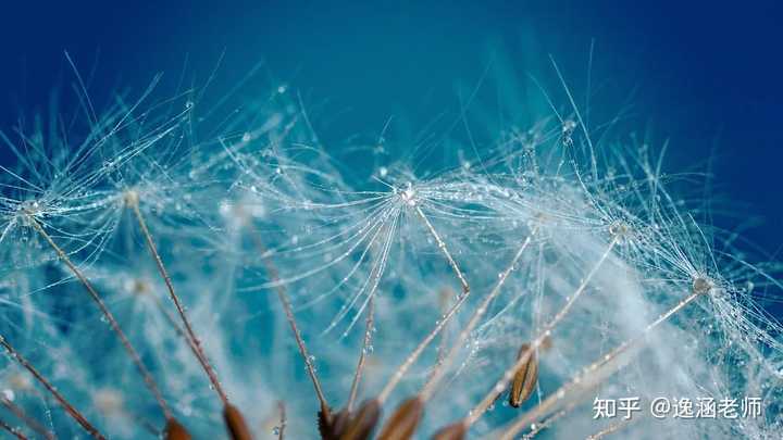 我最近一直在给我妈提供负面情绪 知乎