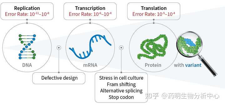 为何顶级生物药企把SVA(sequence variant analysis，序列变异体)列为必测？ - 知乎