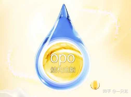 Sn-2 DHA怎么样，有什么特点？ - 知乎