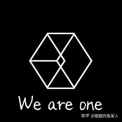 大家可以说说EXO九个人，主舞主唱以及其他几个成员在各自领域的优势吗（9人团）? - 知乎