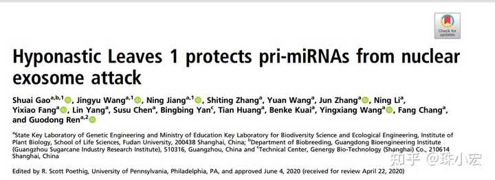 mirna，snp，mrna? - 知乎