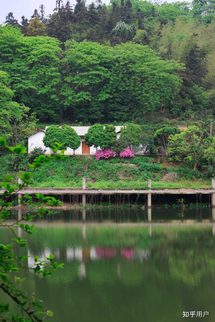 现在入佳能的m62怎么样？ - 知乎