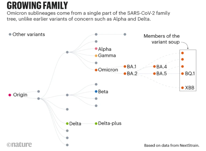 为什么对XBB毒株有效的单克隆抗体h11B11、ACE2-Fc受体融合蛋白HLX71都没有后续进展？ - 知乎