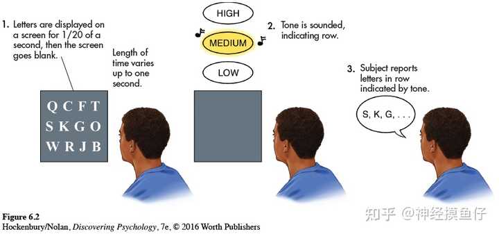 大脑是怎么记忆信息的？ - 知乎