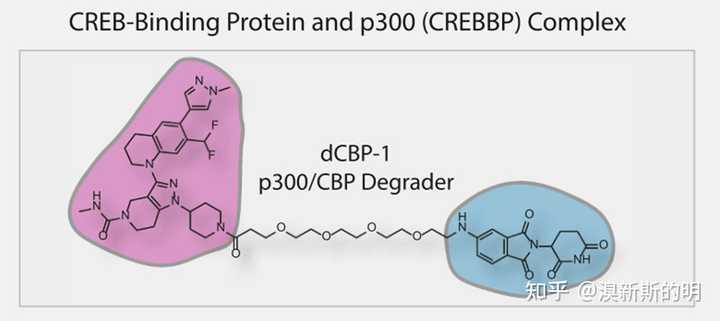 PROTAC药物到底是什么？ - 知乎