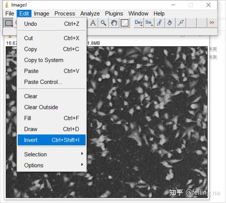 有哪些实用的ImageJ使用技巧？ - 知乎