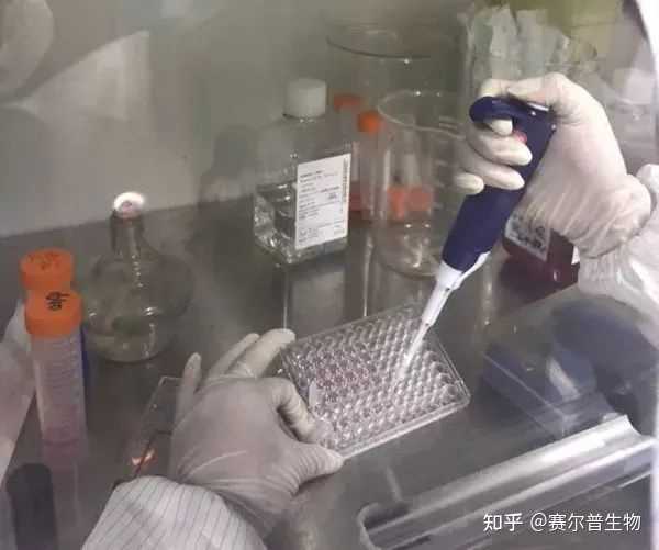 cck-8试验铺板96孔板，一般需要铺多少细胞？ - 知乎