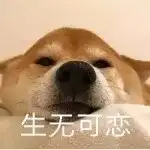 有没有适合冬天天冷时发的表情包？ - 知乎