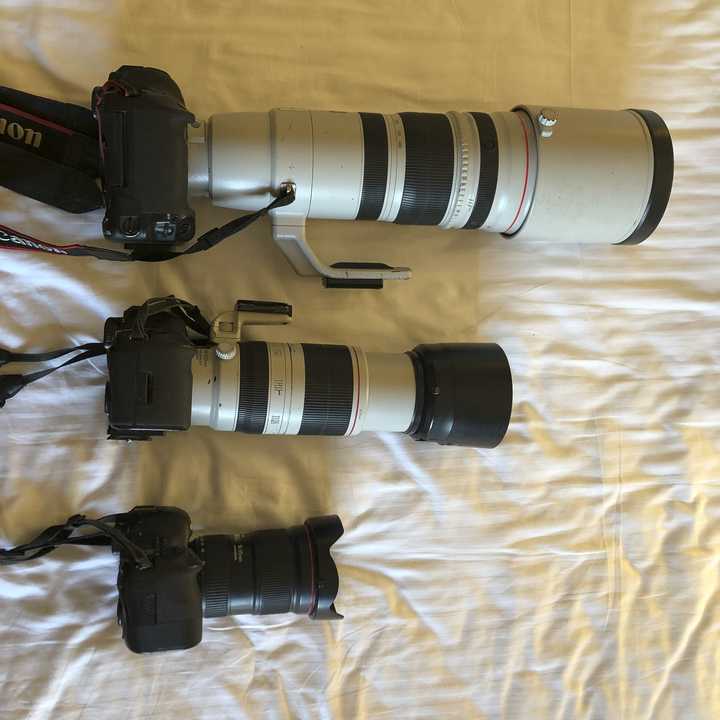 佳能的1dx mark2 对比5d4 感觉除了连拍没有任何优势呀？ - 知乎