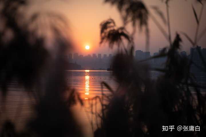 为什么二手M43相机并不便宜，甚至感觉还有涨价趋势？现在值得入手M43相机吗？ - 知乎