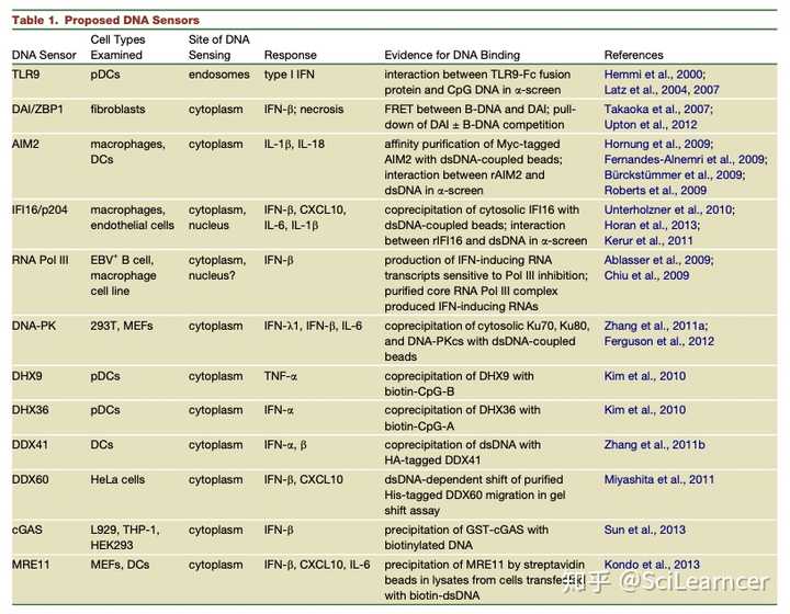 什么是DNA感应器蛋白（DNA sensor protein）,不知道这样翻译是否正确？ - 知乎