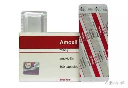 国内的阿莫西林仿制的原药是谁？ - 知乎