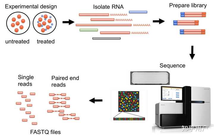 有哪些方法可以测量 RNA 的表达水平？ - 知乎