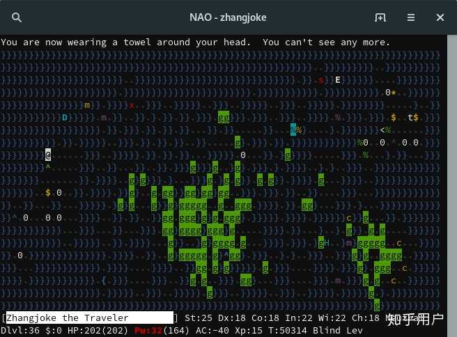 如何评价NetHack？ - 知乎