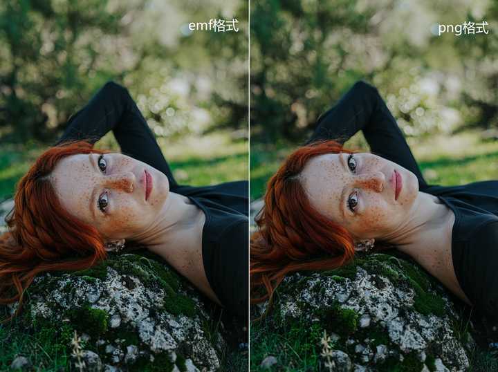 emf是什么格式？用什么软件打开编辑？ - 知乎