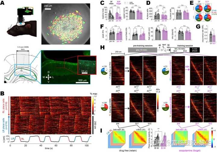 【钙成像技术】常见的钙离子指示剂有哪些？ - 知乎