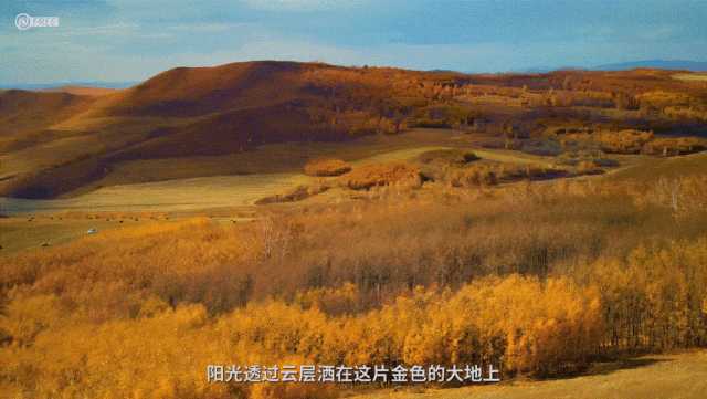 如何评价Tim Pan及其影视飓风自媒体？ - 知乎