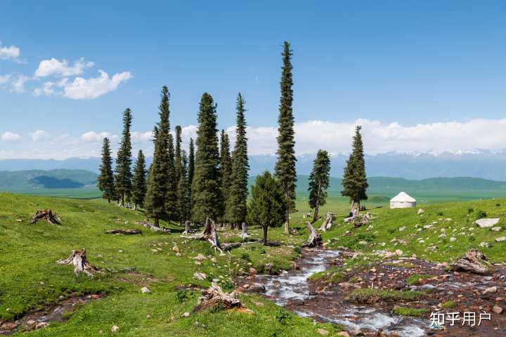 单镜头出门，买松下28200还是24105？ - 知乎