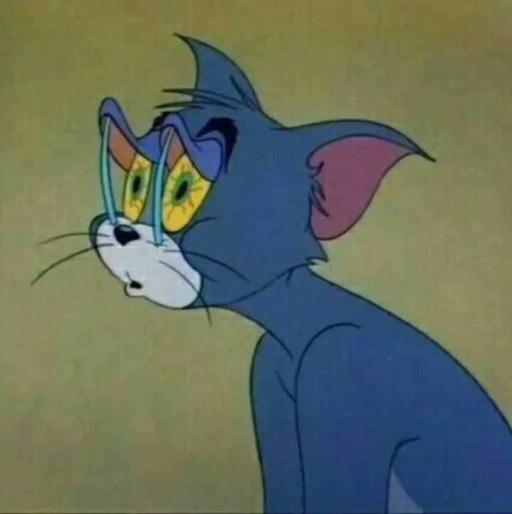 有什么好看的汤姆猫头像分享？ - 知乎