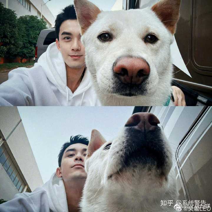 吴磊有女朋友吗？ - 知乎