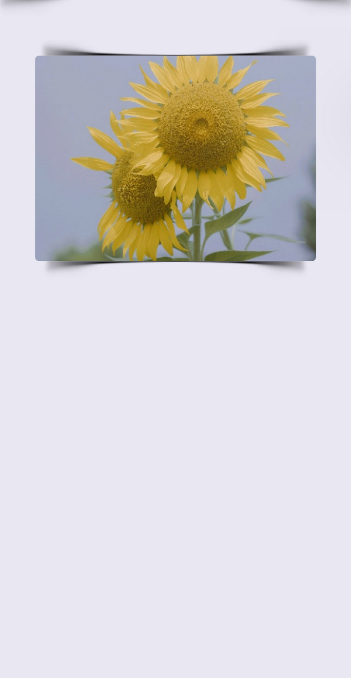 什么是氢壁纸，有什么用。？ - 知乎