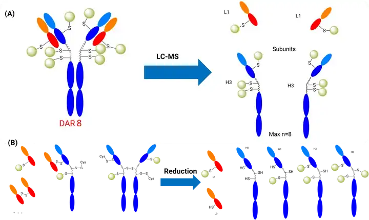 ADC的DAR值是什么，怎么检测？ - 知乎