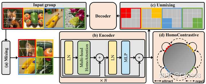 怎么改变MAE模型的mask方式？ - 知乎